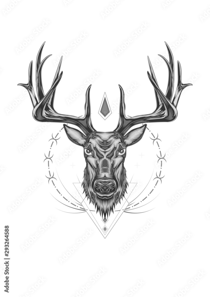 Drawings Of Deer Head Buck