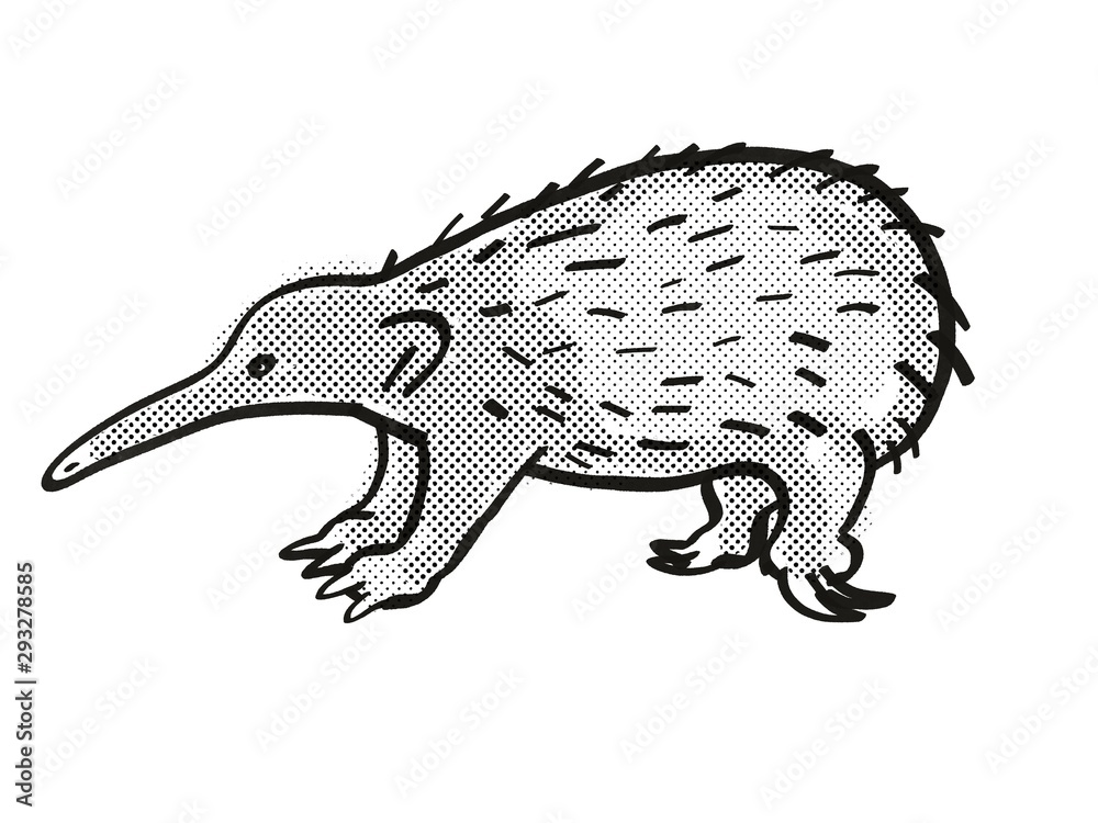 Western Long-beaked Echidna Endangered Wildlife Cartoon Mono Line ...