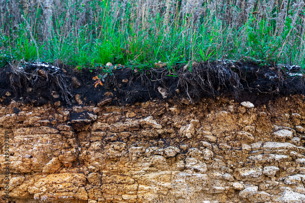 The curb erosion from storms. To indicate the layers of soil and rock ...