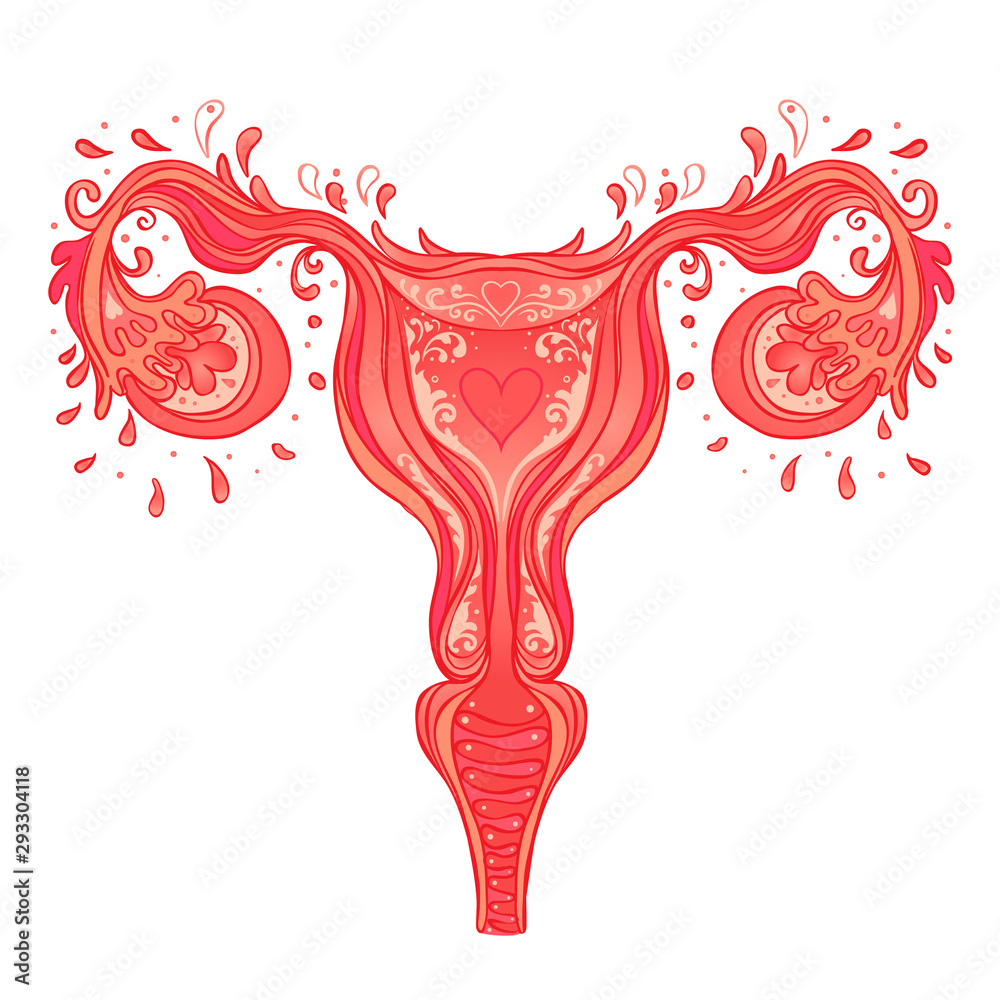 Decorative drawing of female reproductive system with flowers. Hand ...