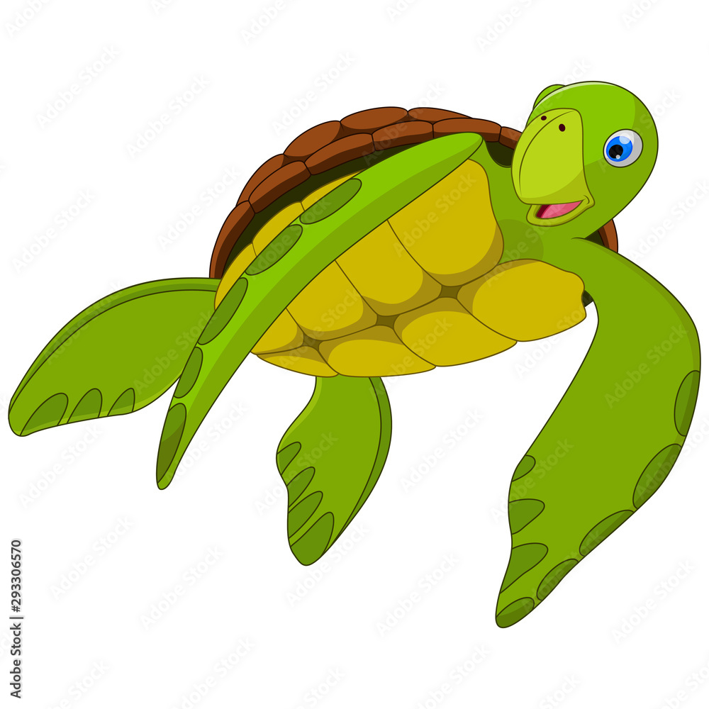 Cute Turtle White Background