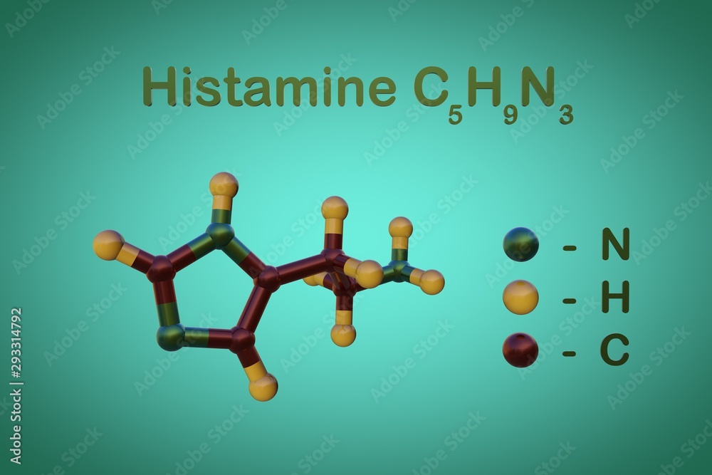 Structural chemical formula and molecular model of histamine. It is an ...