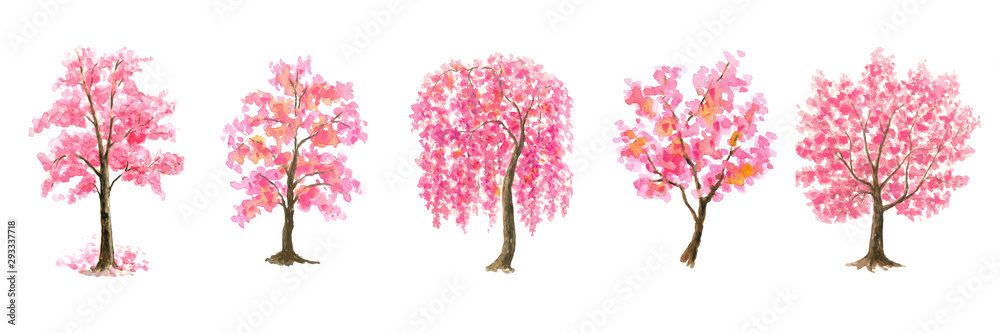 Poster Pink Cherry Blossom tree set watercolor painting hand drawn on ...