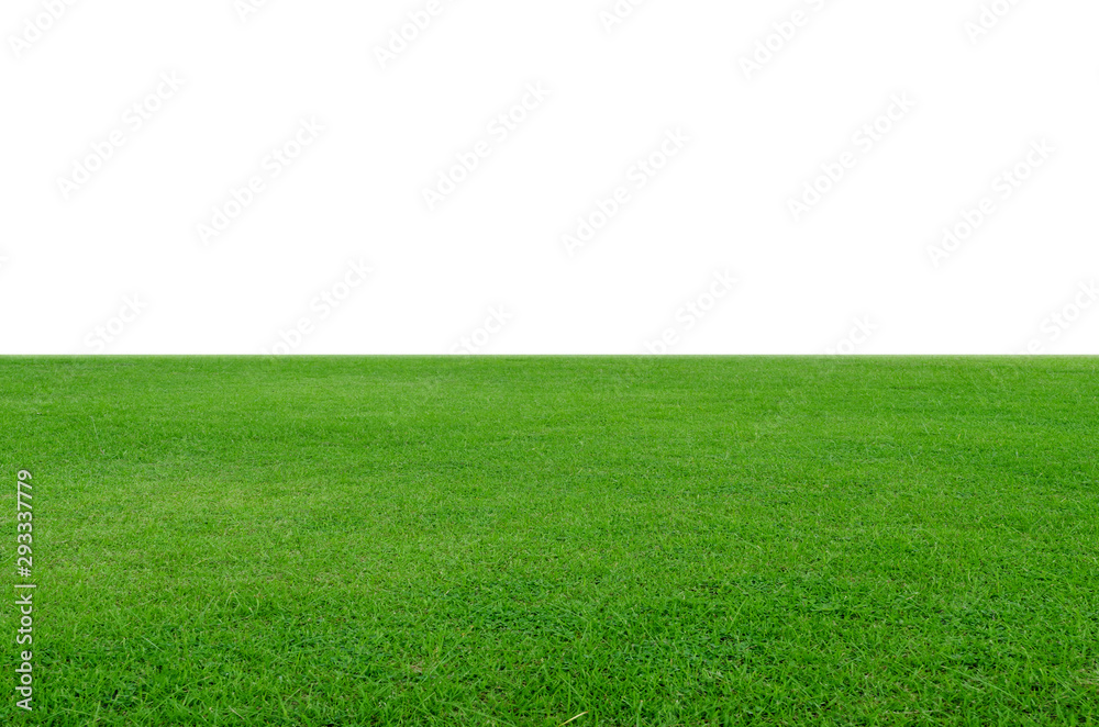 Green grass field isolated on white background with clipping path ...