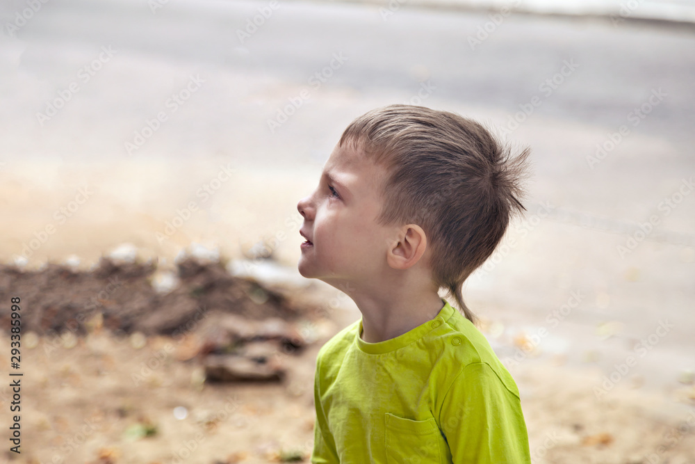 Emotional portrait of a little boy on a walk in a city park. The child ...