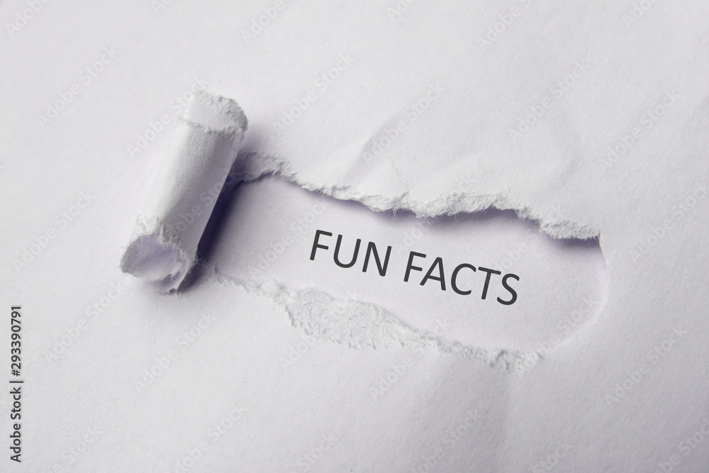 Fun facts on white Torn Paper. Copy space Stock Photo | Adobe Stock