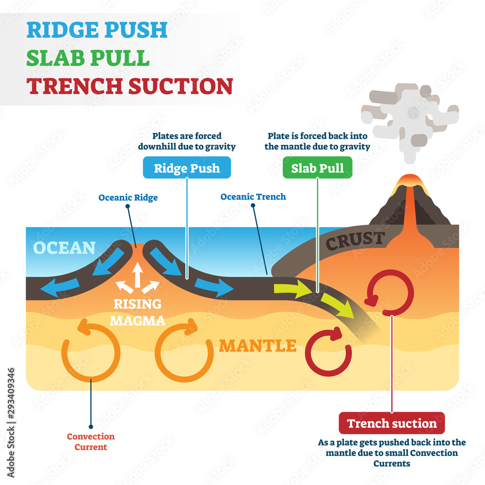 Ridge push, slab pull or trench suction labeled scheme vector ...