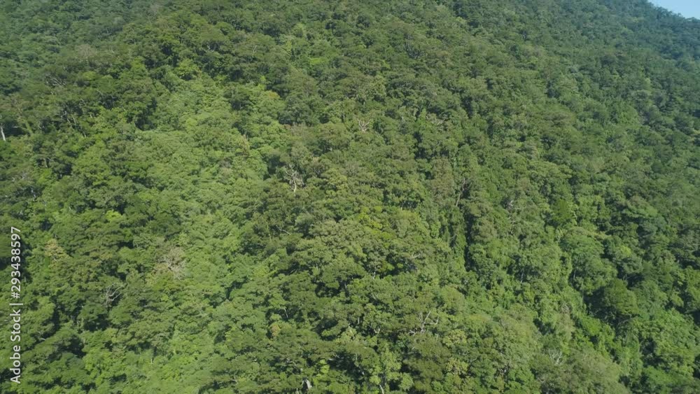 Slopes of mountains with tropical rainforest. Philippines, Luzon ...