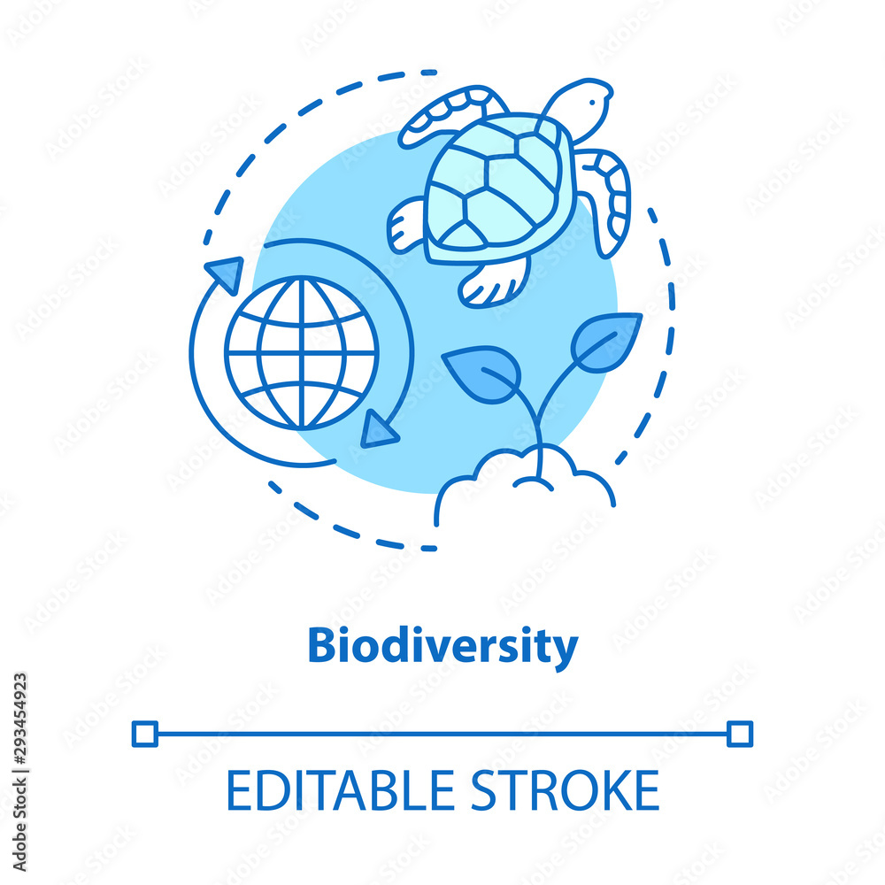 Biodiversity concept icon. Natural ecosystem protection idea thin line ...