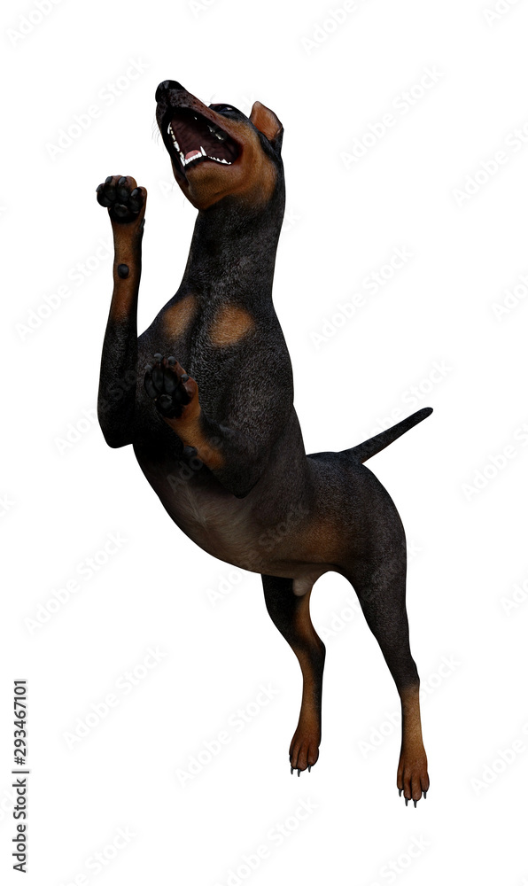 3d Illustration of a dog standing on hind legs with front paws up and ...