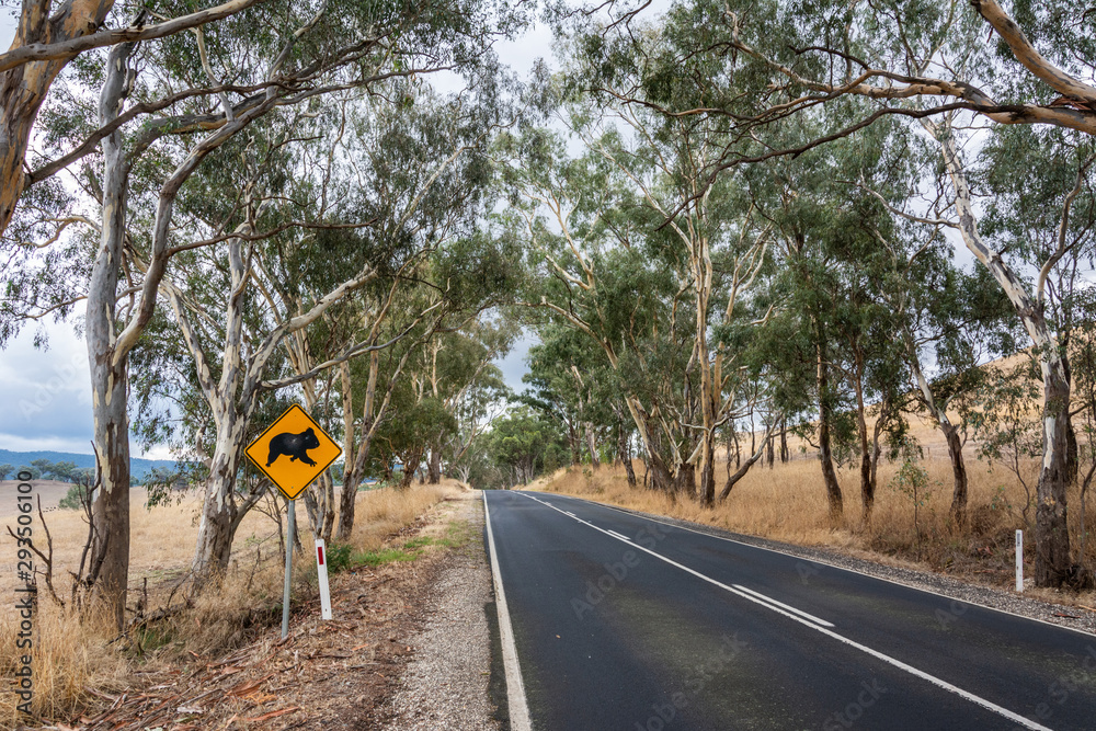 Road in Australia, with koala crossing sign. Stock Photo | Adobe Stock