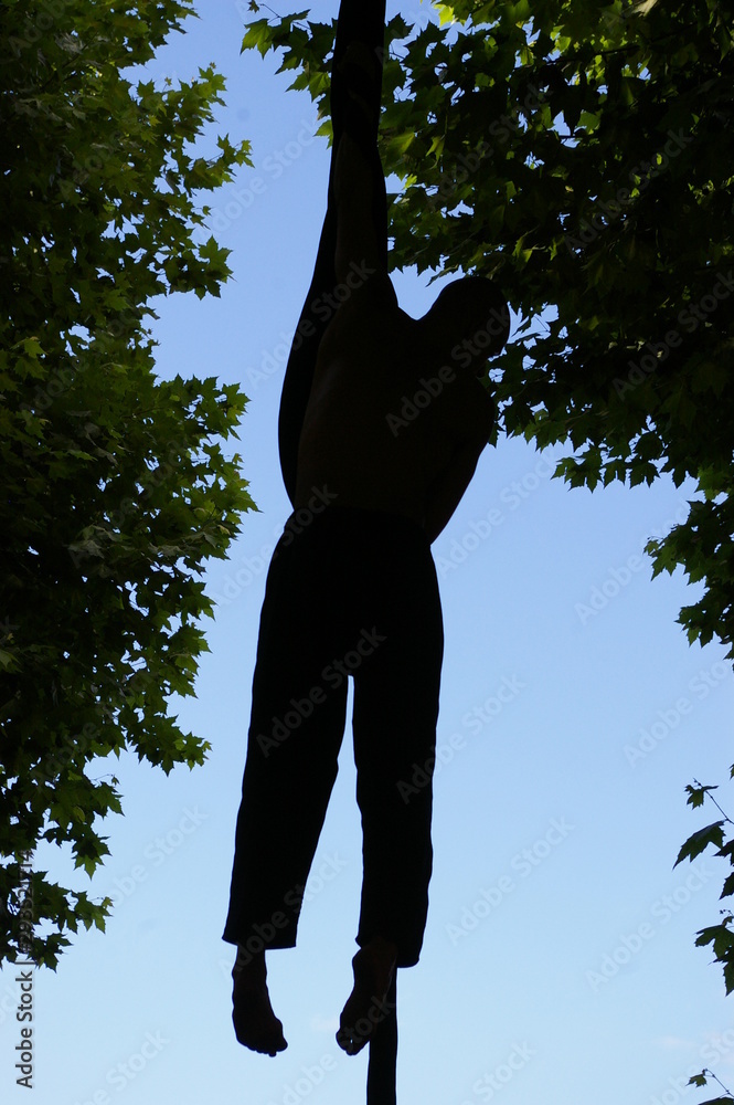 silhouette d'un acrobate sur un arbre. Un homme faisant des acrobaties ...