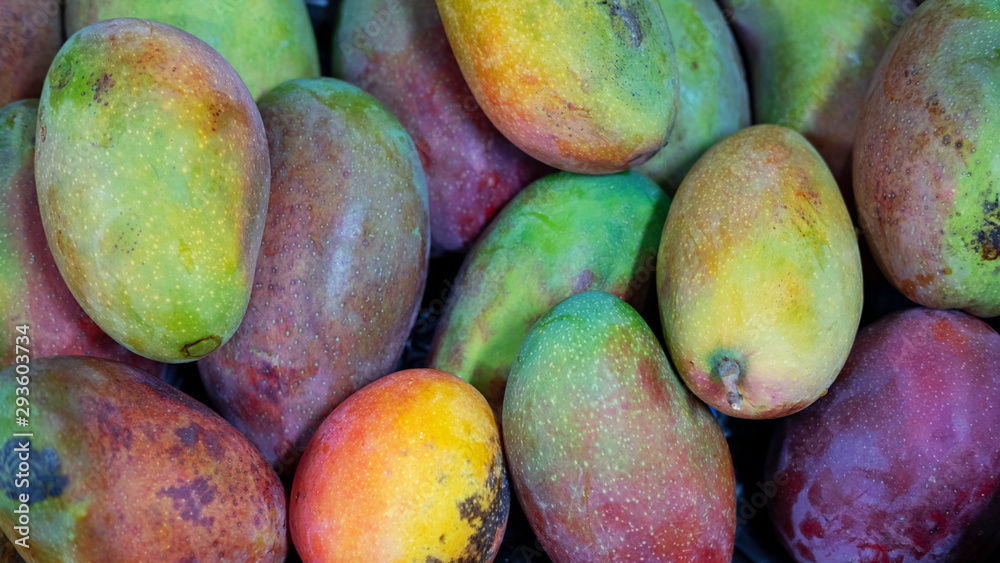 Foto de Delicious mangoes, Tommy Atkins variety, with a sumptuous ...