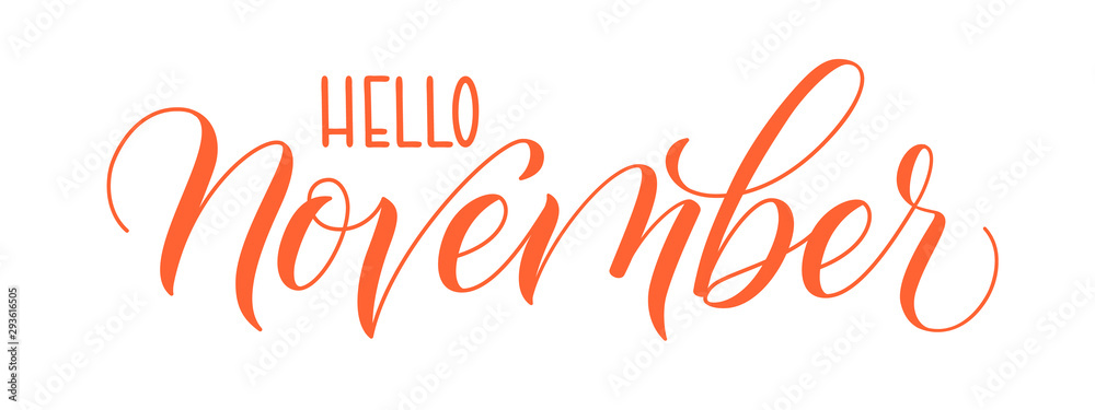Modern brush calligraphy Hello November isotated on a white background ...