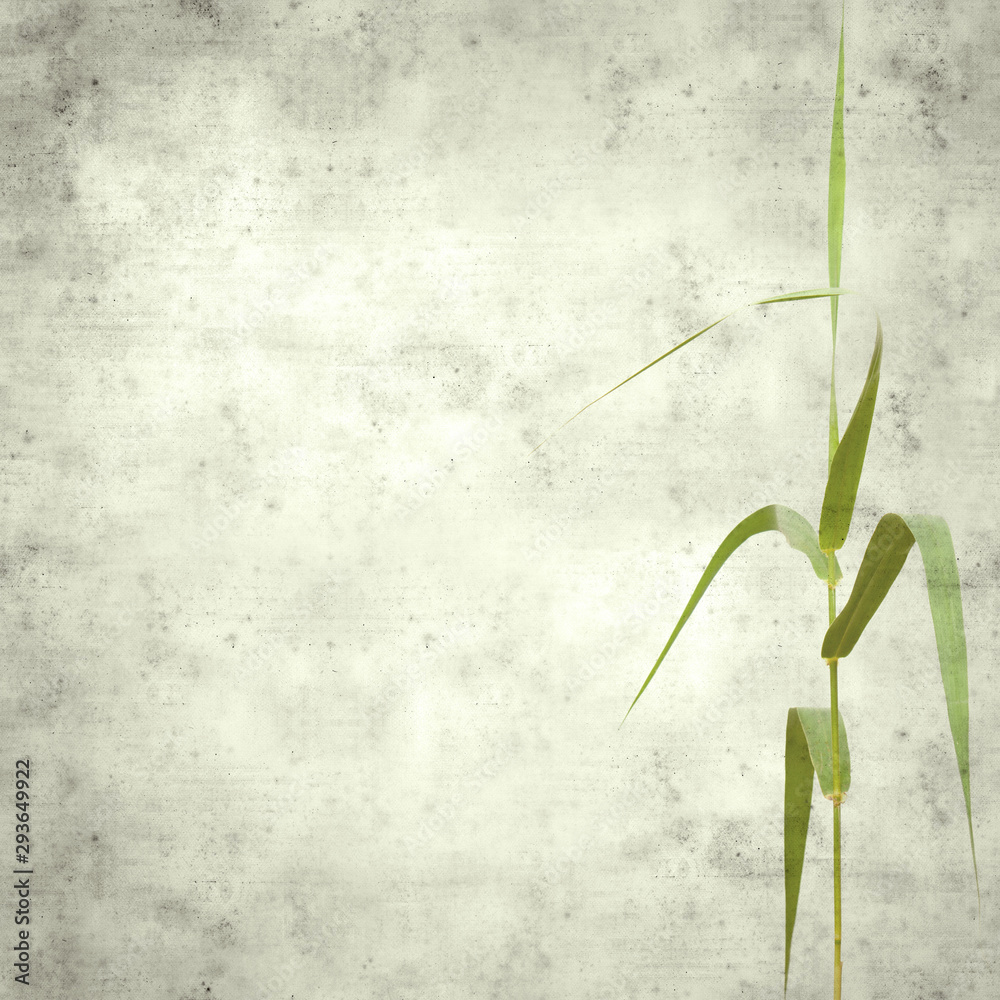 old paper background Stock Photo | Adobe Stock
