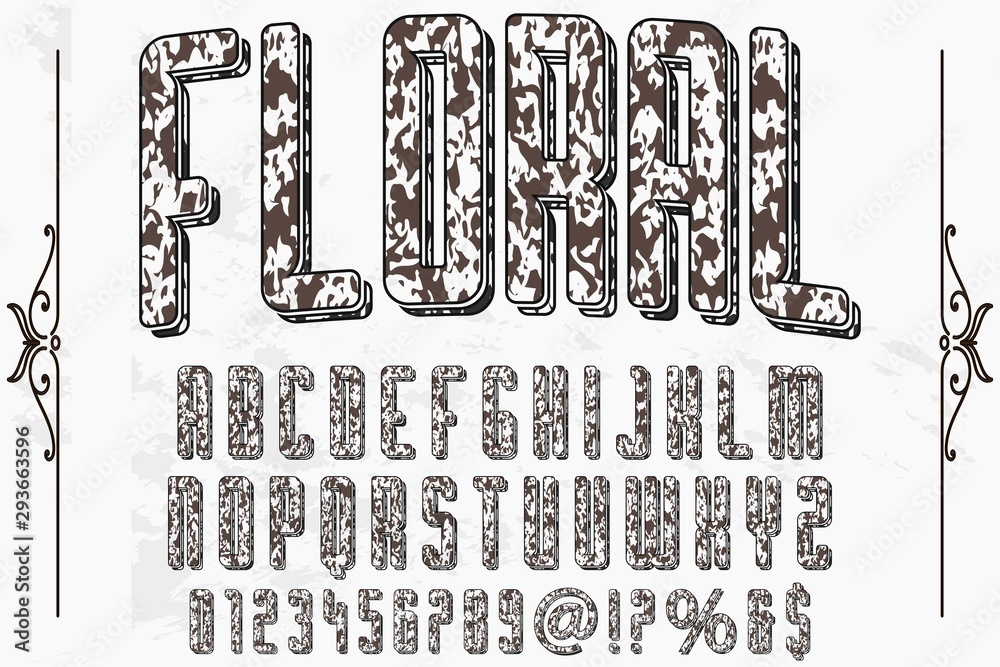 abc Font alphabet Script Typeface handcrafted handwritten vector label ...