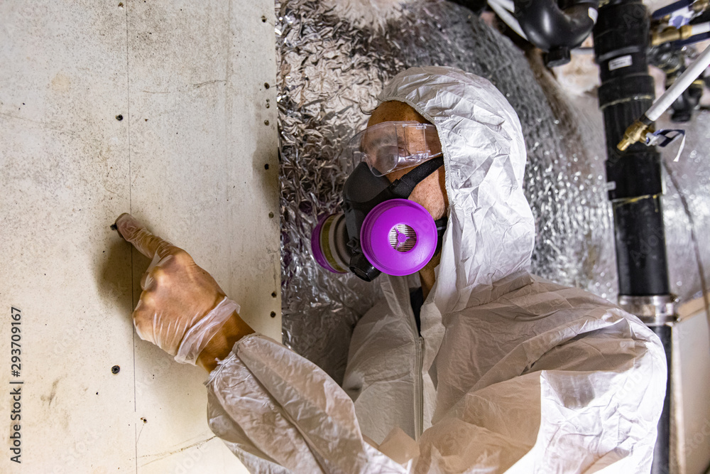 Indoor damp & air quality (IAQ) testing. A building inspector finds ...