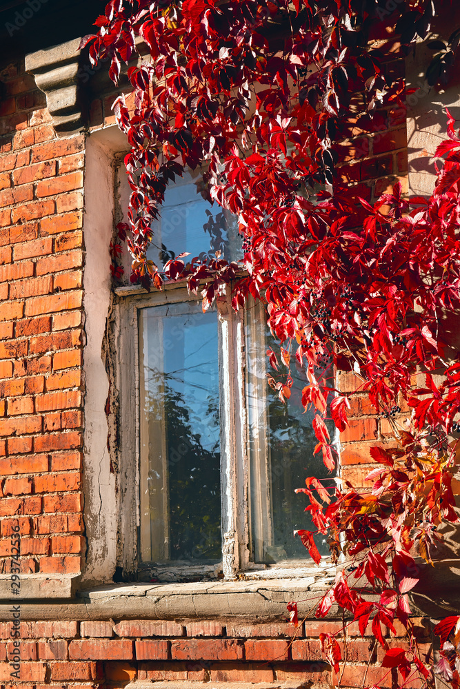 Vintage fall season exterior background, window of an old brick house ...