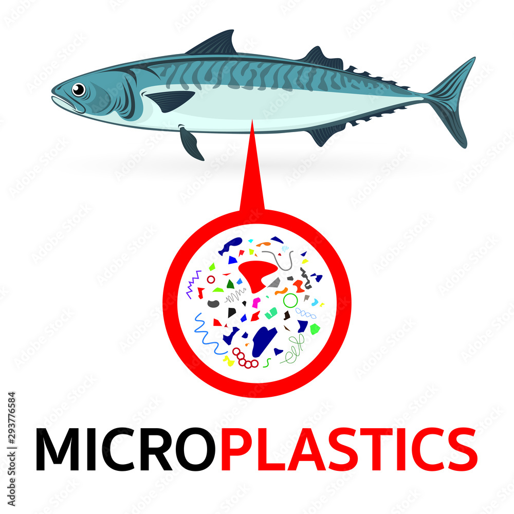 Vecteur Stock Microplastics in fish and the implications for human ...