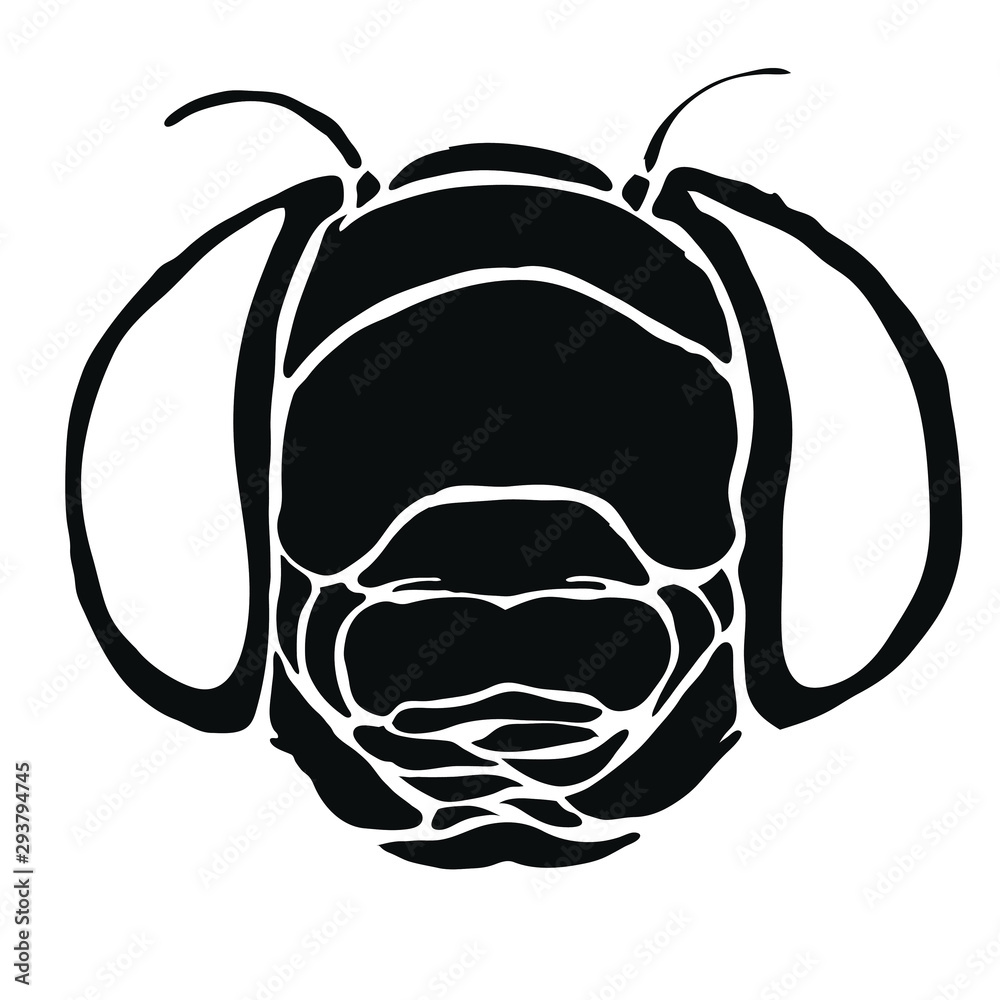 Dragonfly Head Vector shillouette Stock Vector | Adobe Stock