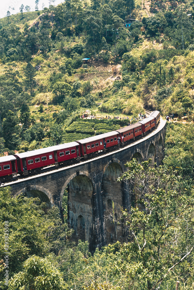 Train on the Nine Arch Bridge in Sri Lanka Stock Photo | Adobe Stock