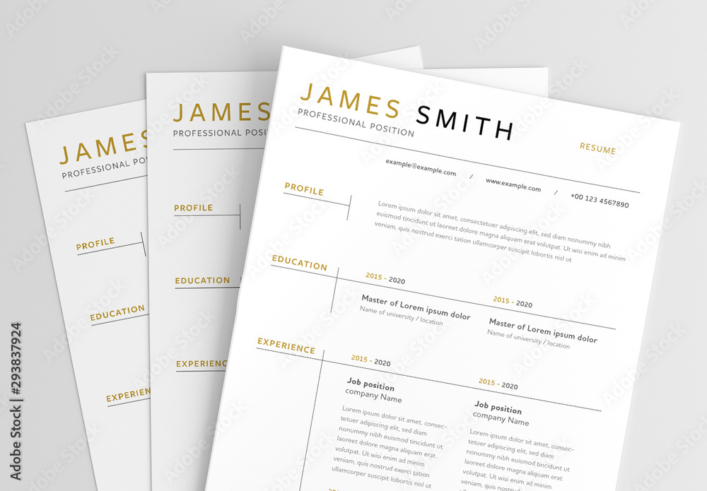 Simple Resume Layout with Gold Accents Stock Template | Adobe Stock