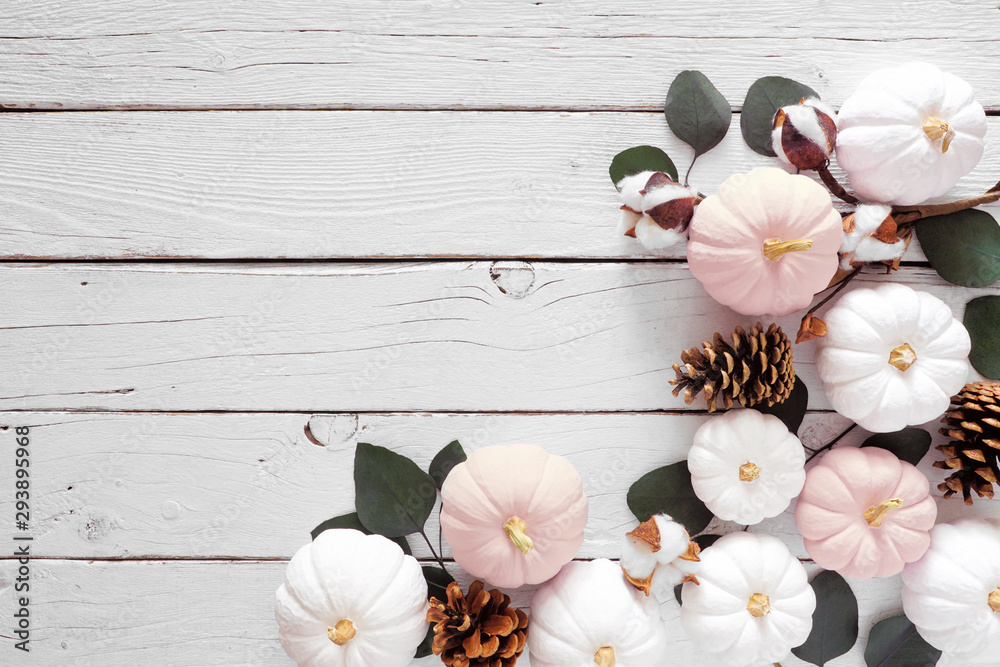 Fall corner border of dusty rose and white pumpkins and eucalyptus ...