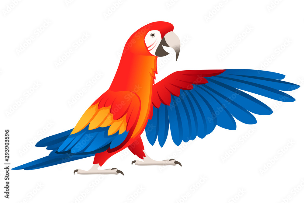 Adult parrot of red-and-green macaw Ara standing on two legs and wave ...