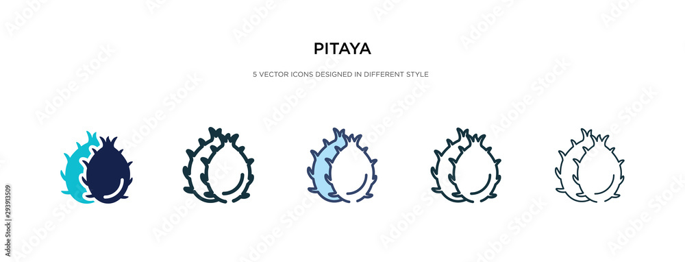pitaya icon in different style vector illustration. two colored and ...