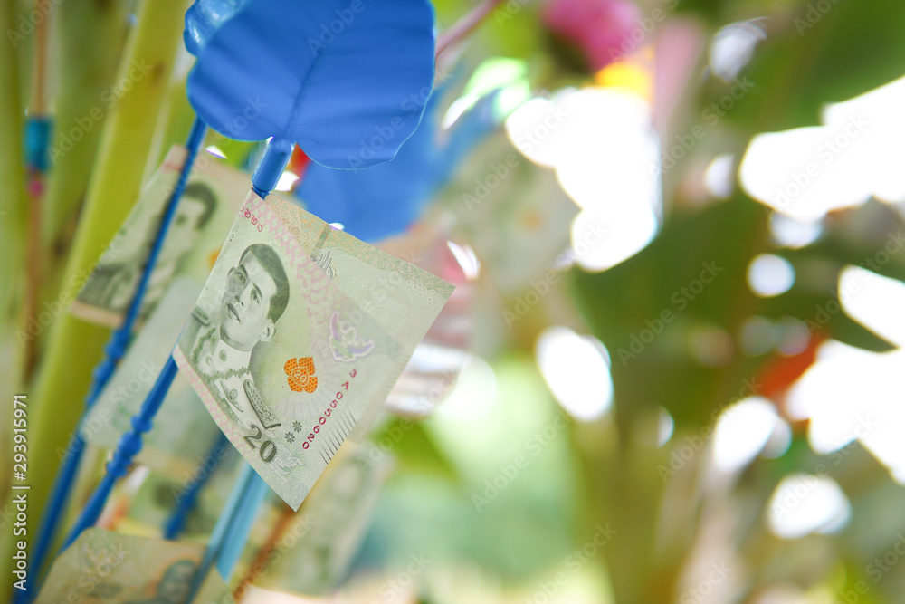 Thai money on the money tree at the annual Kathin ceremony, this ...