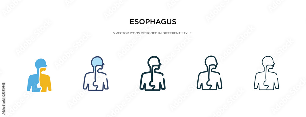 esophagus icon in different style vector illustration. two colored and ...