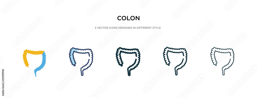 colon icon in different style vector illustration. two colored and ...