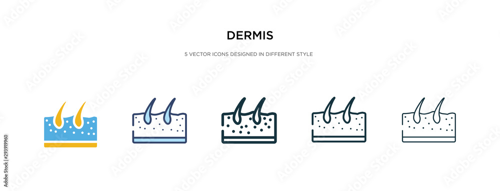 dermis icon in different style vector illustration. two colored and ...
