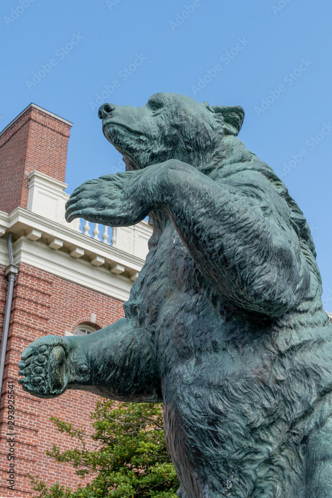 Brown University Bears