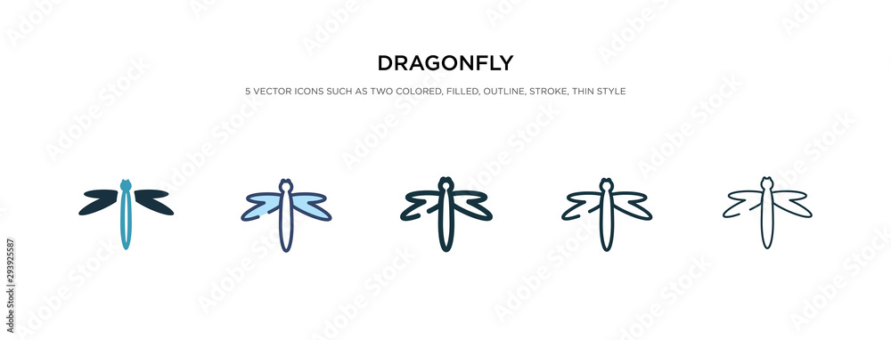 dragonfly icon in different style vector illustration. two colored and ...