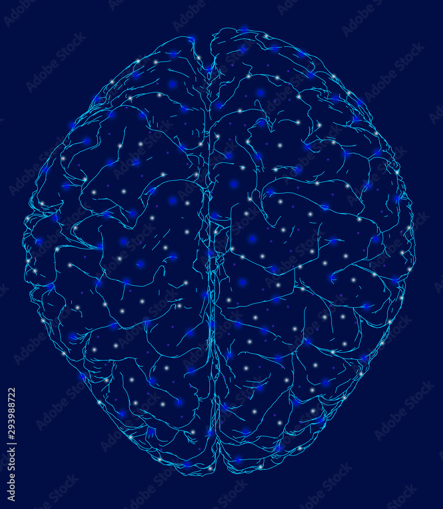 The contour of the human brain from blue lines on a dark background ...