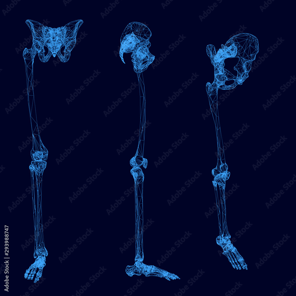 Set with a skeleton of a human leg with a hip of blue lines on a dark ...