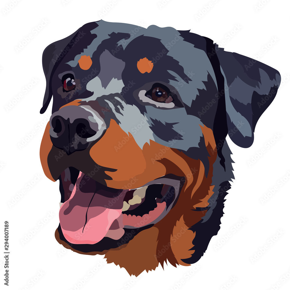 Happy Rottweiler Face Handdrawn Vector Stock Vector | Adobe Stock