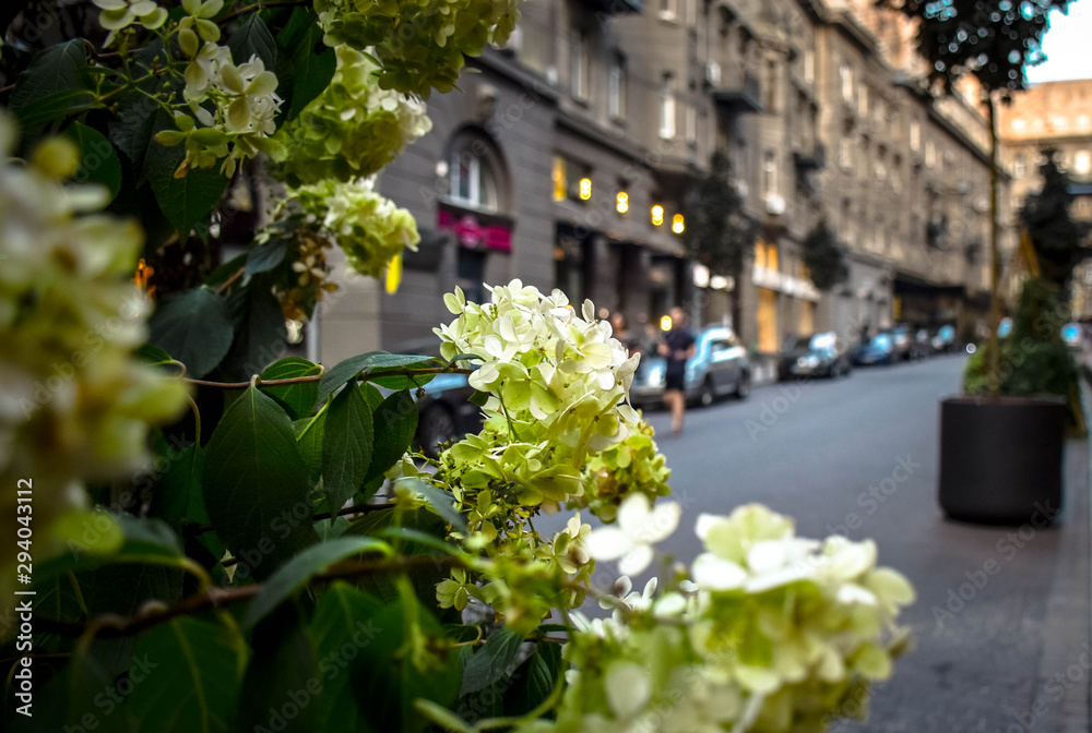 Passage - a commercial-residential building in Kiev in the form of a ...