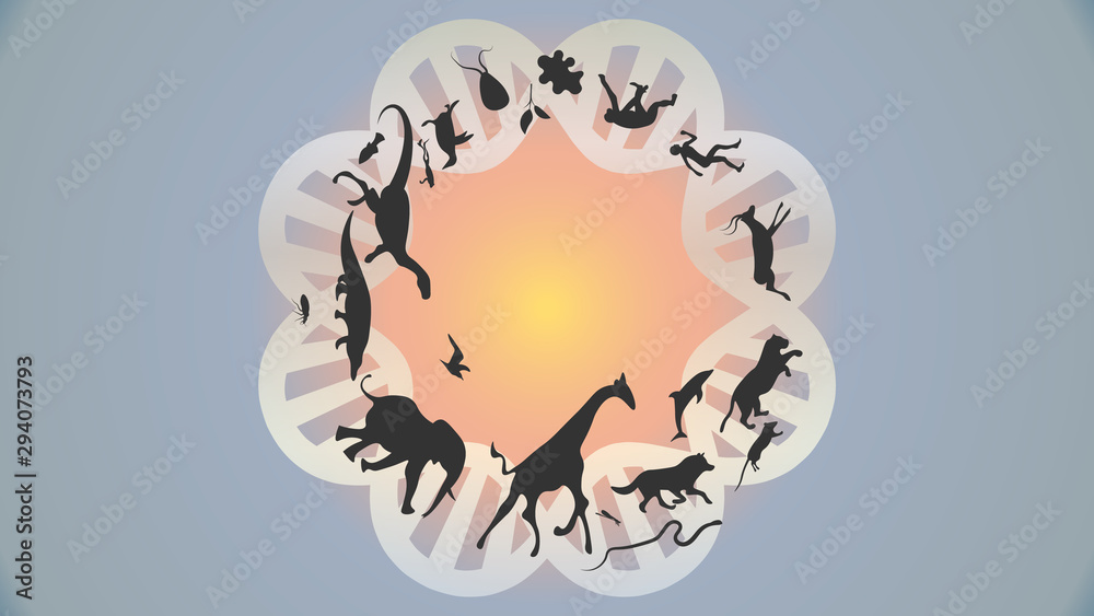Evolution of species illustration. Evolution vector design Stock Vector ...