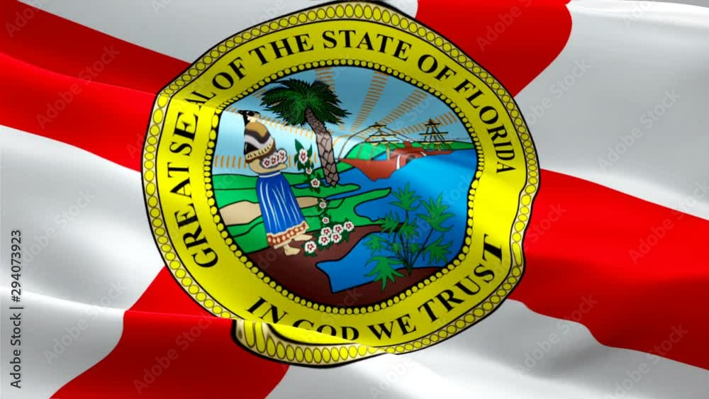 Vidéo Stock Flag of Florida video waving in wind. Realistic US State ...