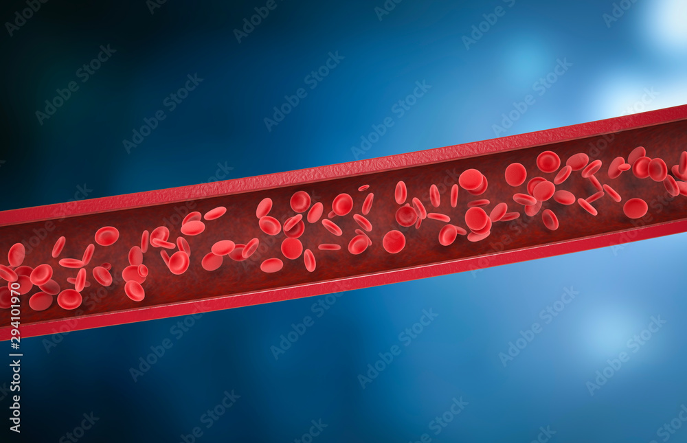 red blood cells in vein Stock Photo | Adobe Stock