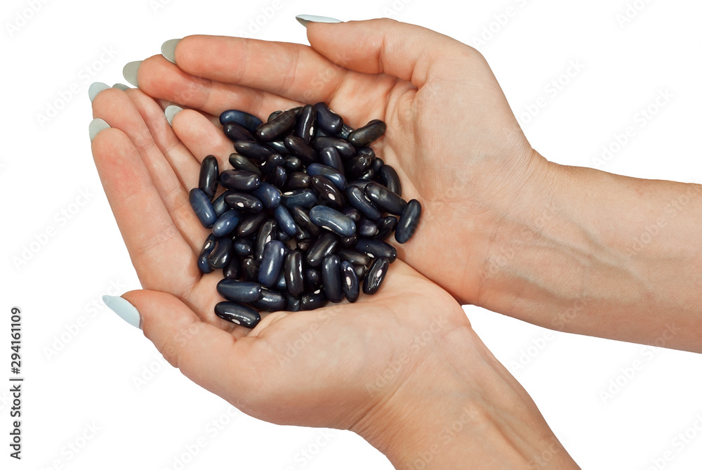 Fresh young beans in the palm of a hand. Texture of black and dark blue ...