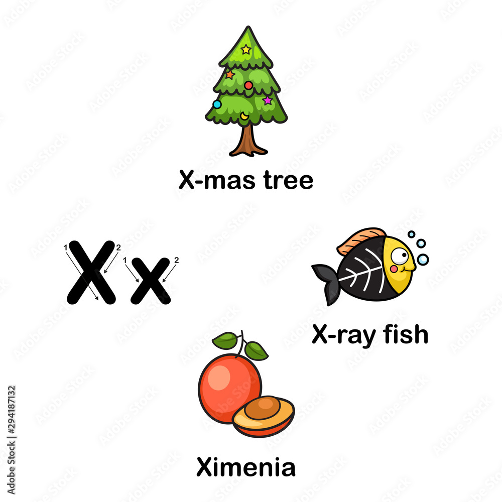 Objects That Start With The Letter X