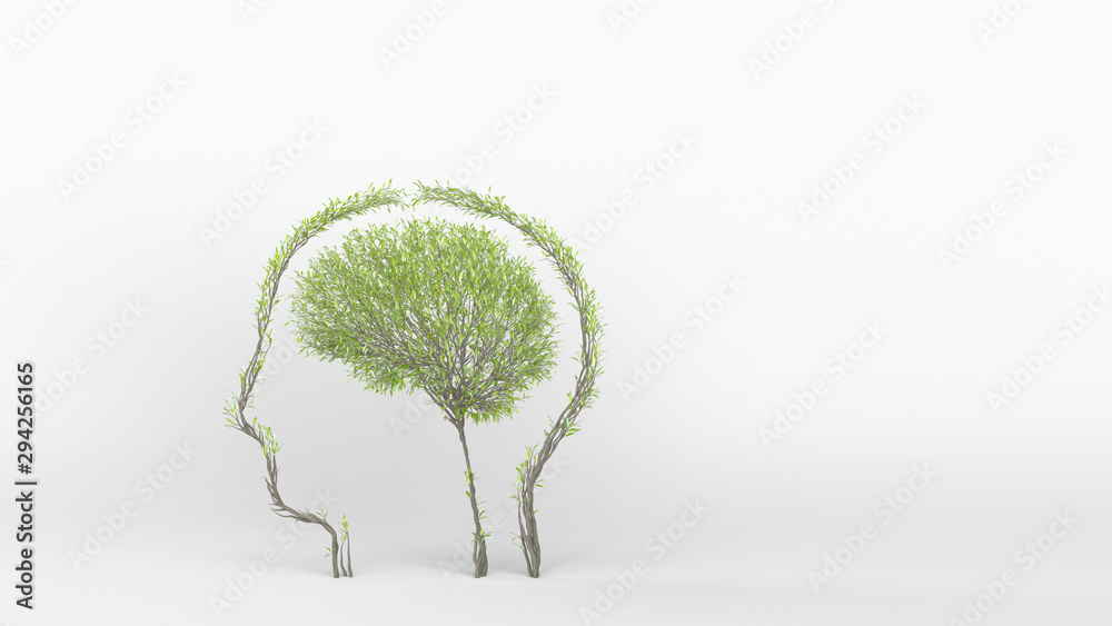 Growing Tree in a shape of human brain inside a head. Eco Concept. 3D ...