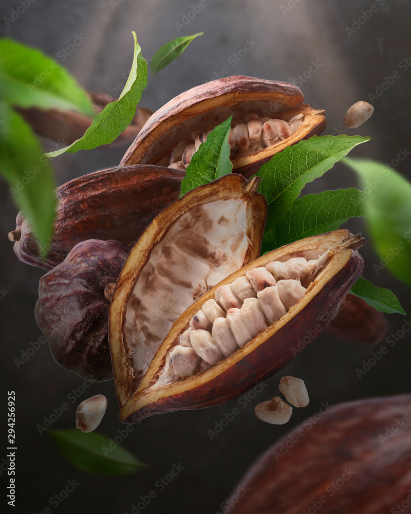 Cocoa pod flying in the air. Cracked cocoa pod and bean levitate on ...