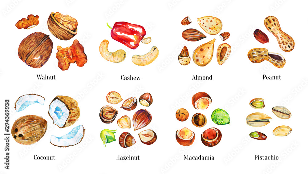 Set of different types of nuts with titles. Walnut, cashew, almond ...