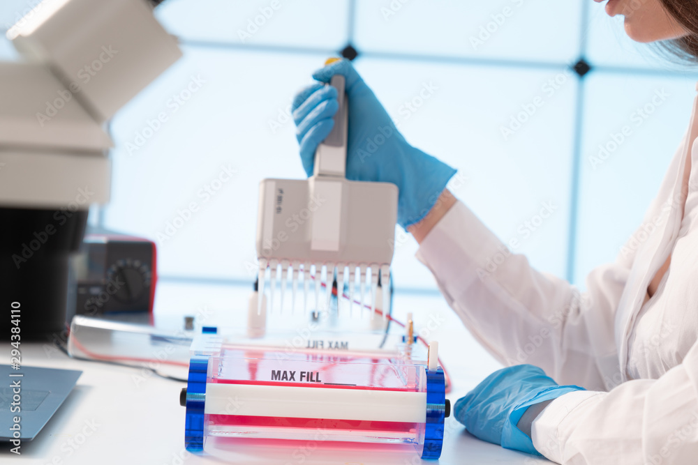Loading Samples and Running an Agarose Gel for electrophoresis, Gel ...