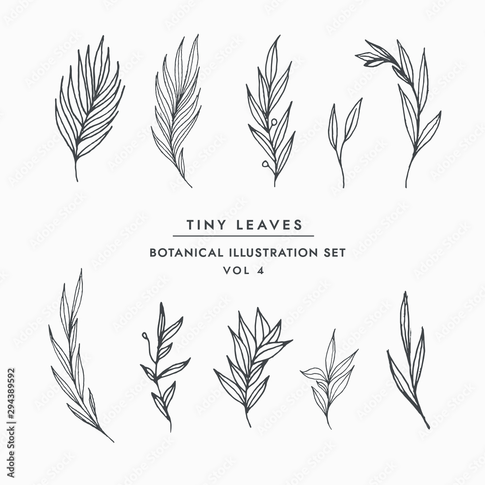 Tiny Leaves Plants Hand drawn vector illustration for logo, invitations ...