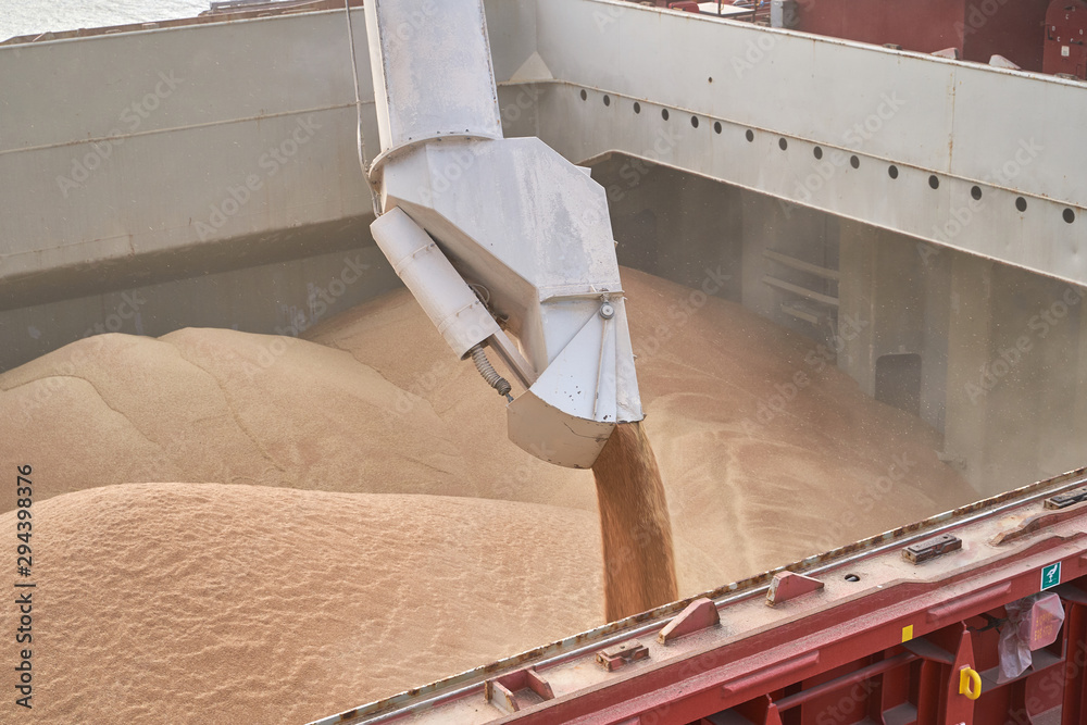Grain loading in hold of bulk carrier ship with elevator crane closeup ...